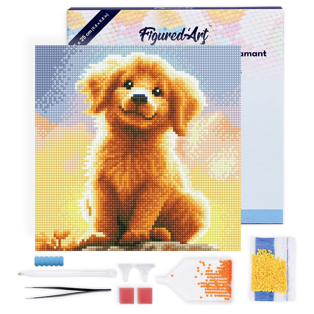 Mini Diamond Painting 25x25cm - Cute Golden Retriever Pup - Framed can ...
